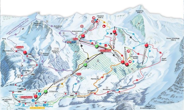 Grindelwald-First-Piste-Map | Mountain Vortex